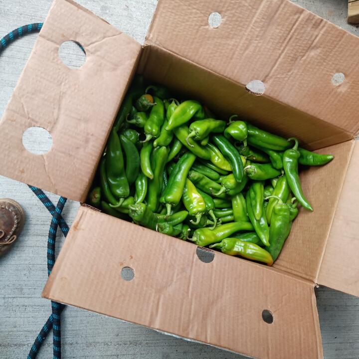The Hatch Chile Store Reviews: What Customers Are Saying | ReviewFeeder